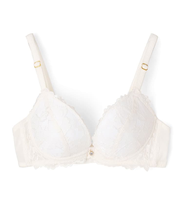 【northerly】 【northerly bra フィットシリーズ 楽盛りフィット】 ストレッチレース ブラジャー単品 B～Fカップ ...