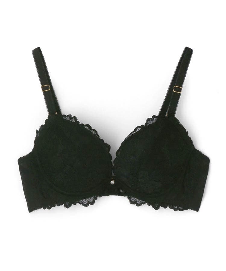 【northerly】 【northerly bra フィットシリーズ 楽盛りフィット】 ストレッチレース ブラジャー単品 B～Fカップ ...