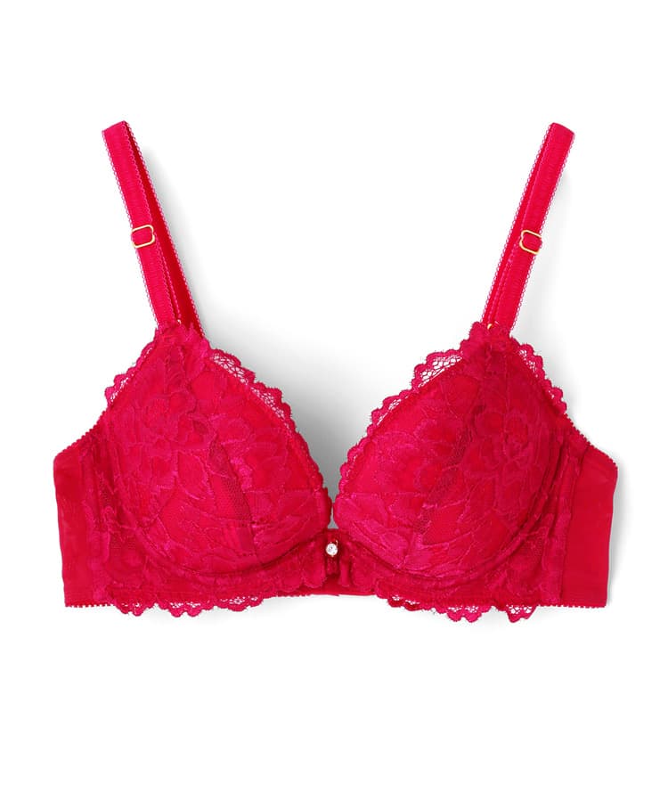 【northerly】 【northerly bra フィットシリーズ 楽盛りフィット】 ストレッチレース ブラジャー単品 B～Fカップ ...