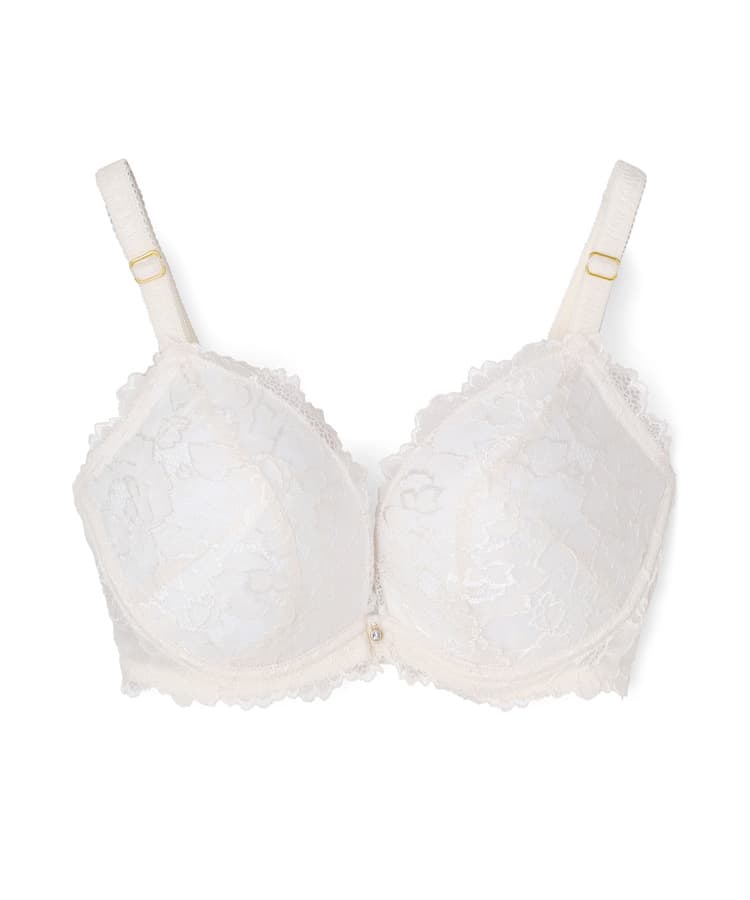 【northerly】 【northerly bra フィットシリーズ 楽盛りフィット】 ストレッチレース ブラジャー単品 I カップ ...