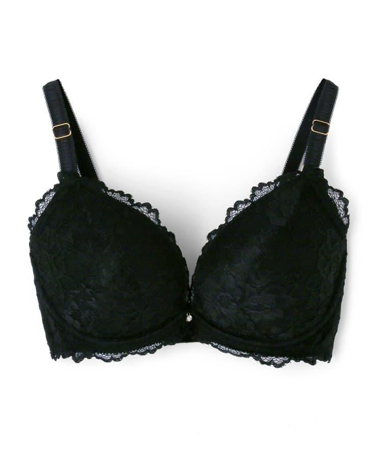 【northerly】 【northerly bra フィットシリーズ 楽盛りフィット】 ストレッチレース ブラジャー単品 I カップ ...